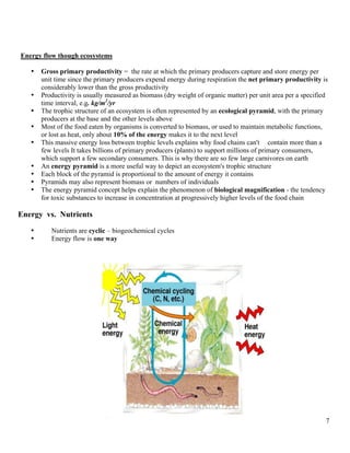 Principles of Ecology | PDF