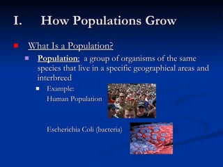Principles Of Ecology2007 | PPT