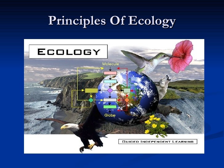 Principles Of Ecology2007