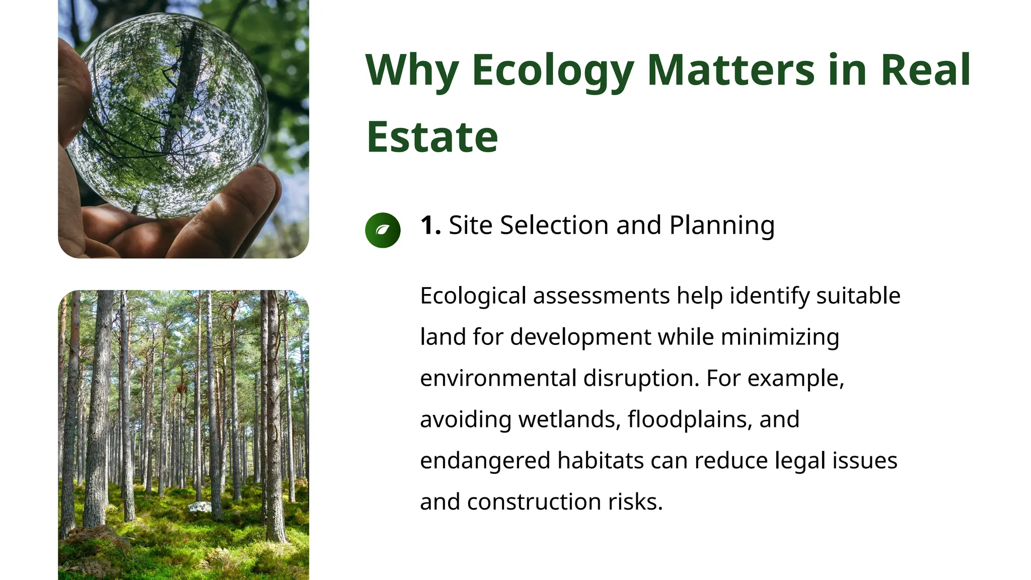 PRINCIPLES OF ECOLOGY TEMPLATE.pptx BS REM 1ST SEM | PPTX
