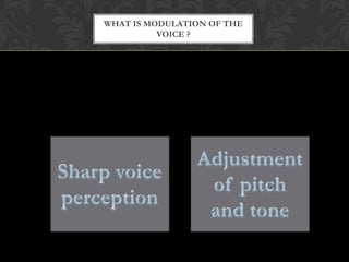 Principles of effective communication | PPTX