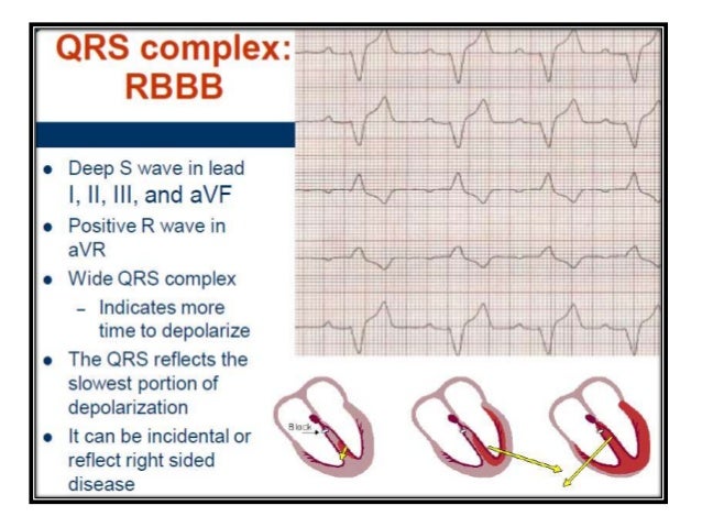 Principles of electrocardiography ppt