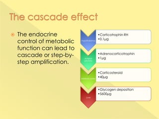 Principles of endocrine regulation | PPTX