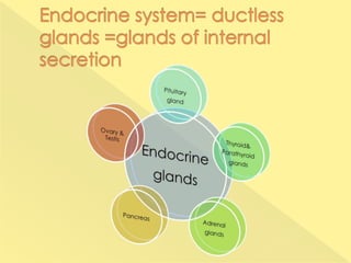 Principles of endocrine regulation | PPTX