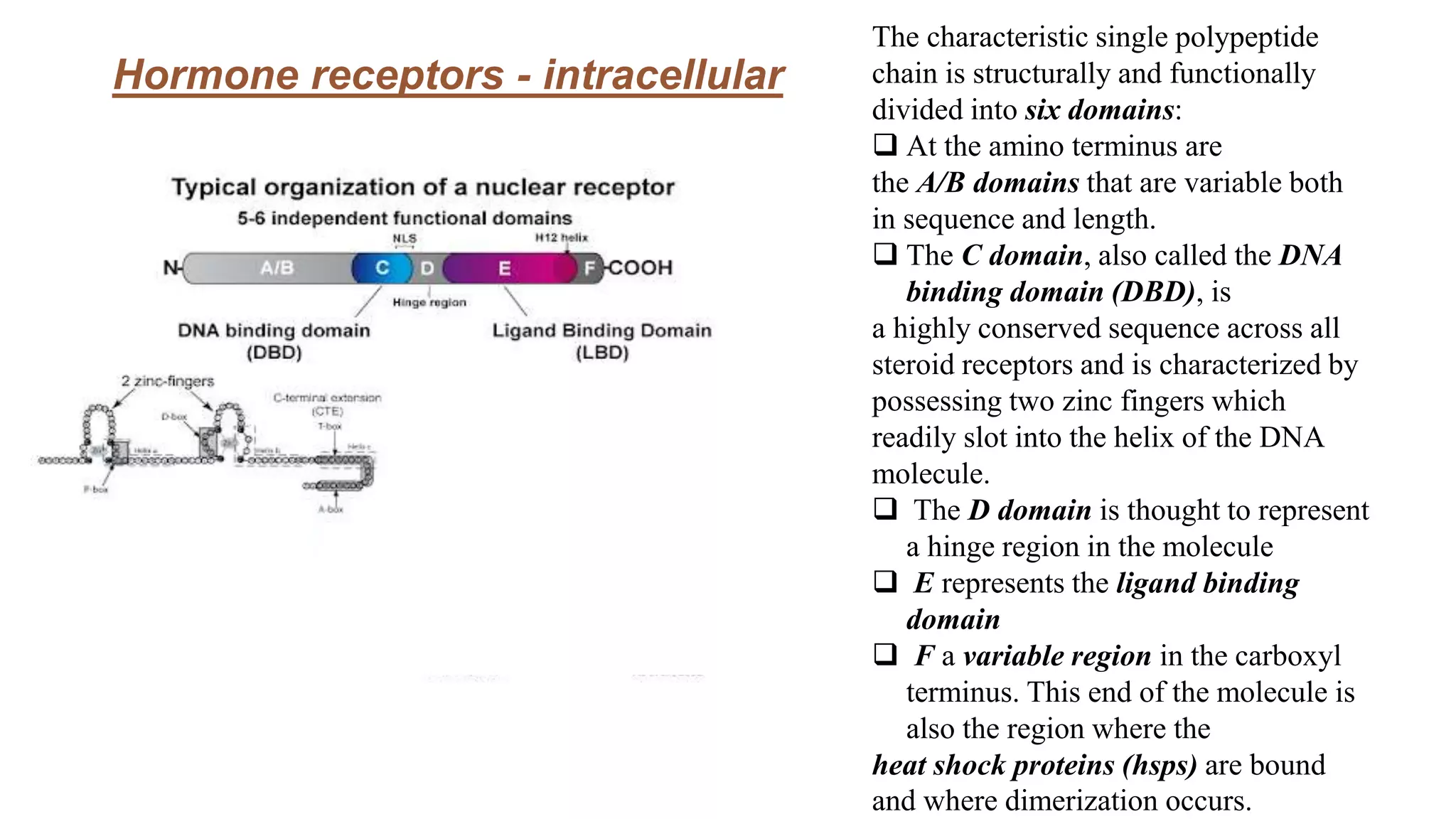 Principles of endocrinology | PPTX