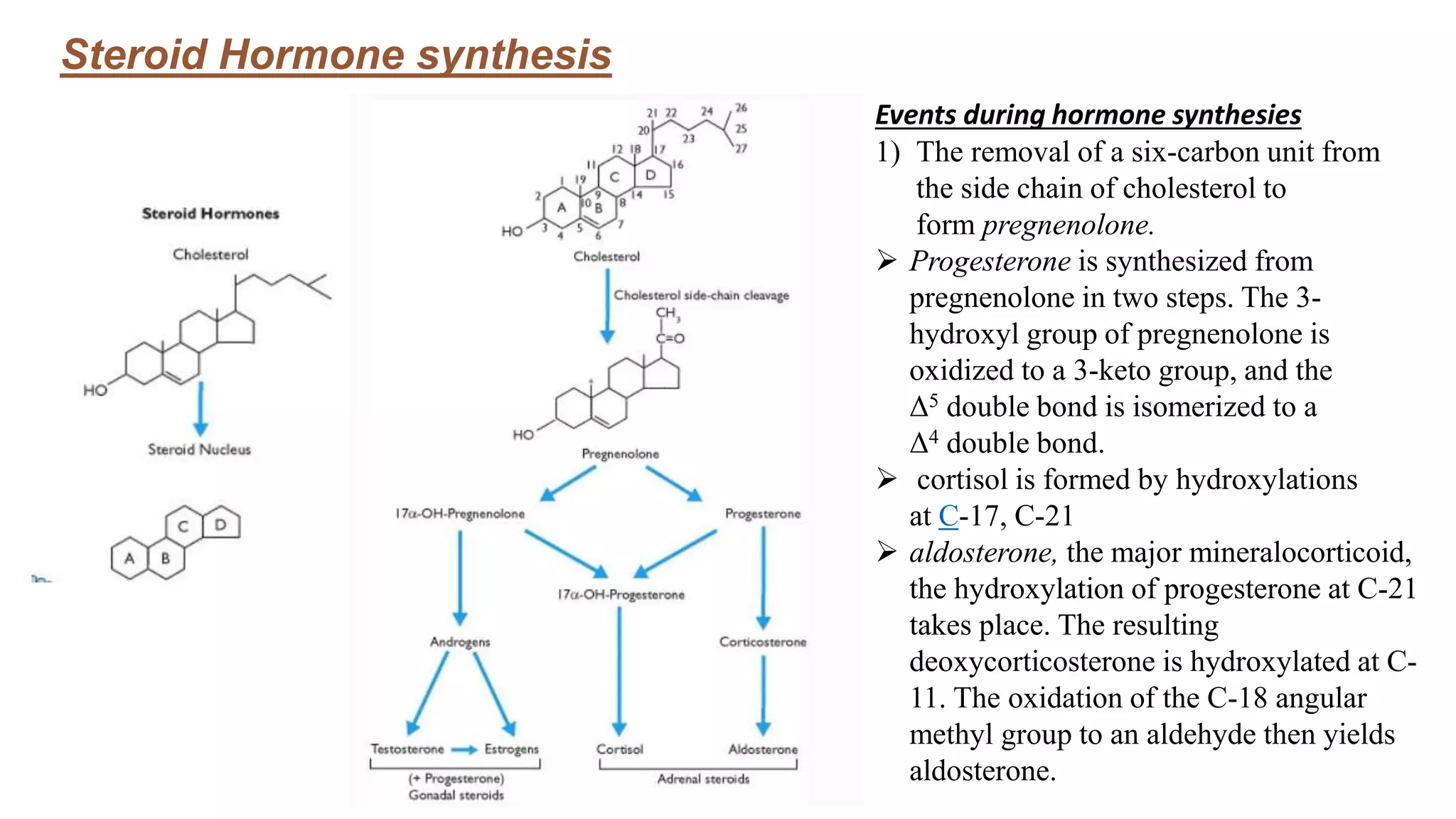 Principles of endocrinology | PPTX