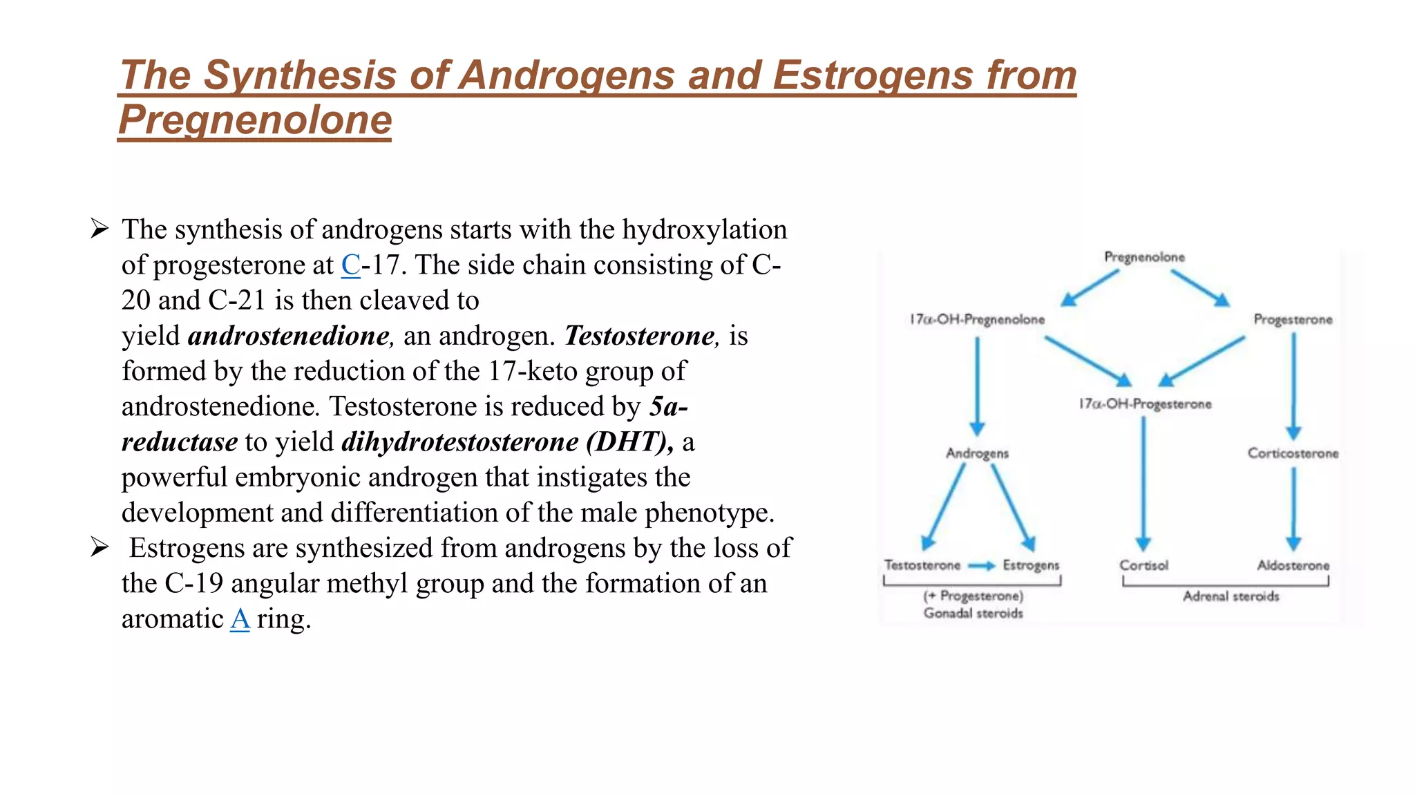 Principles of endocrinology | PPTX
