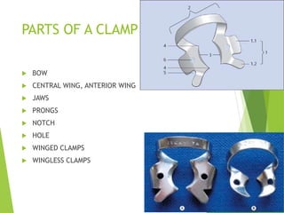 Principles of endodontic treatment | PPTX