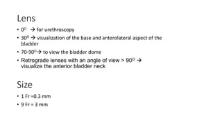 Principles of Endourology | PPTX