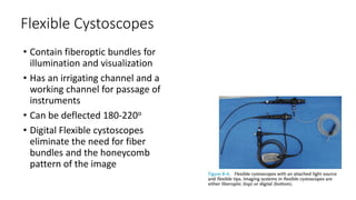 Principles of Endourology | PPTX