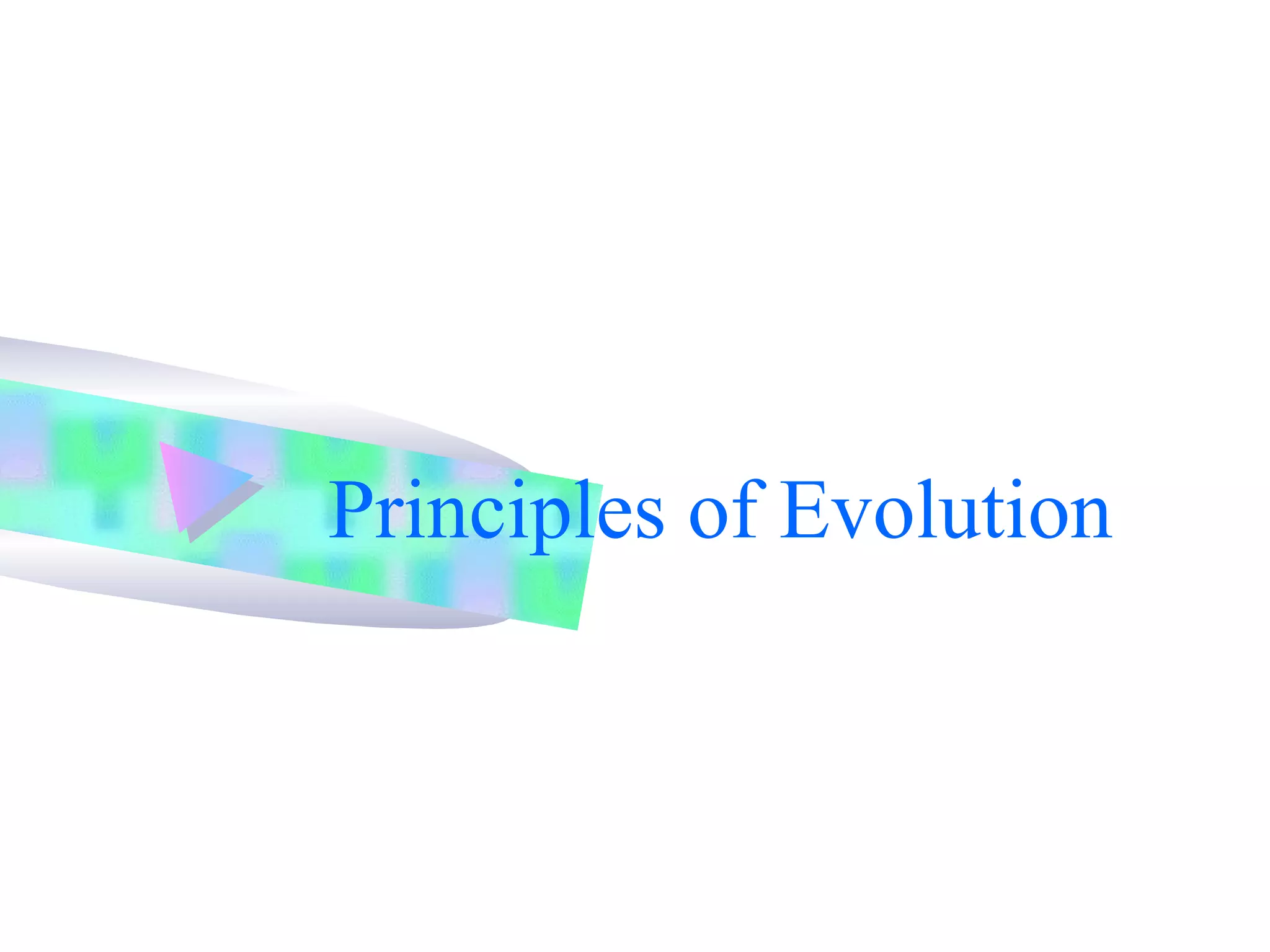 Principles of evolution | PPT