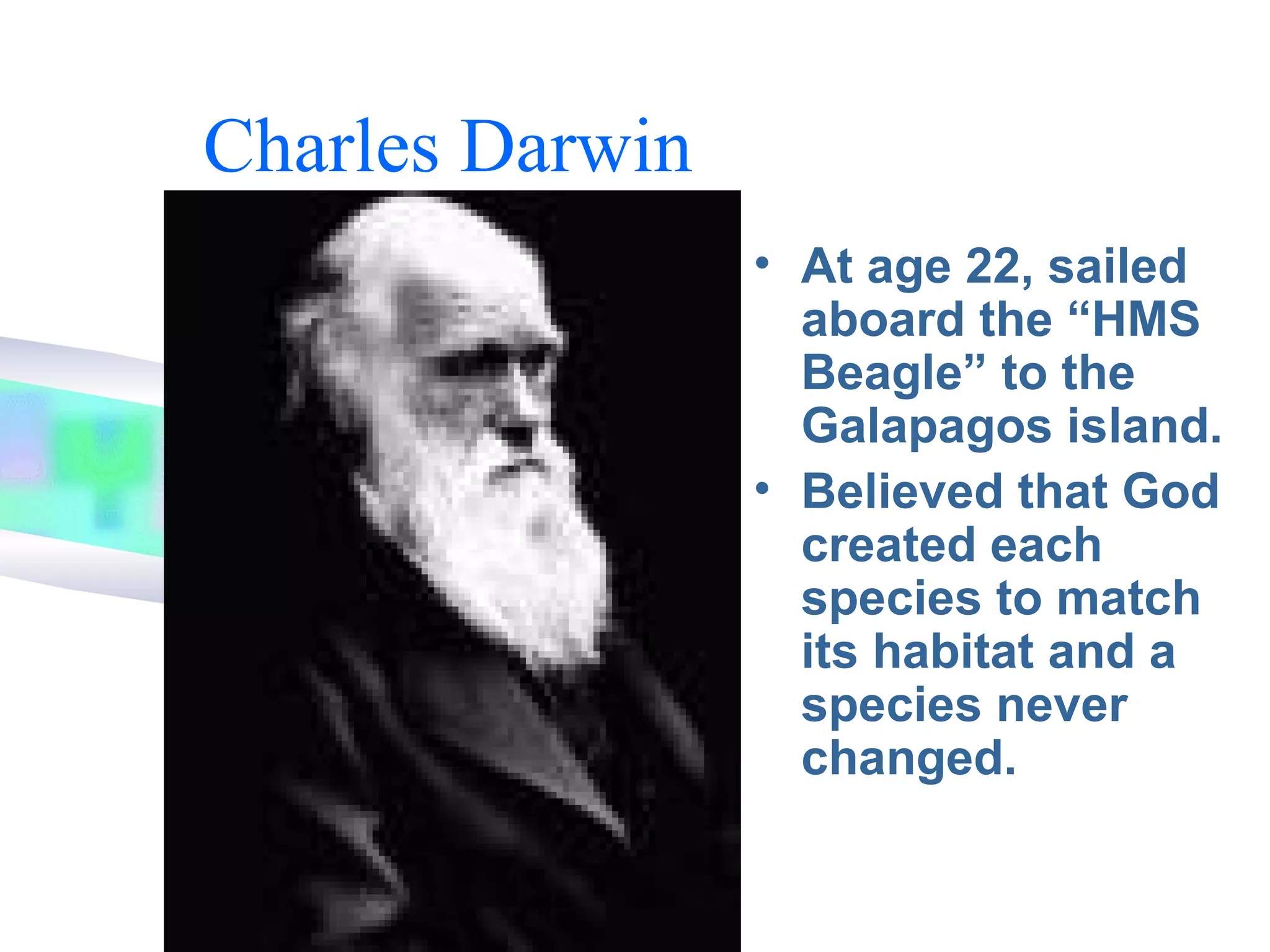 Principles of evolution | PPT