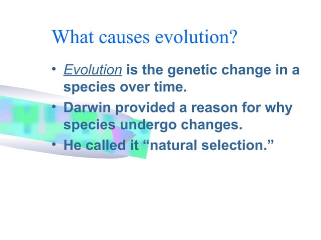 Principles of evolution | PPT
