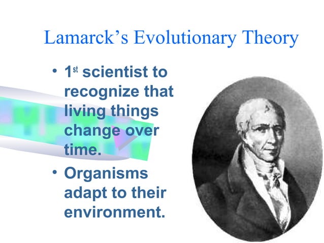 Principles of evolution | PPT