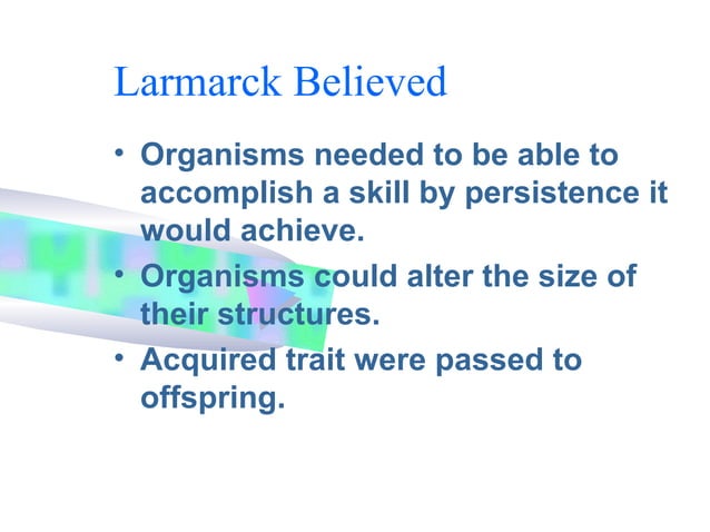 Principles of evolution | PPT