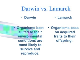 Principles of evolution | PPT