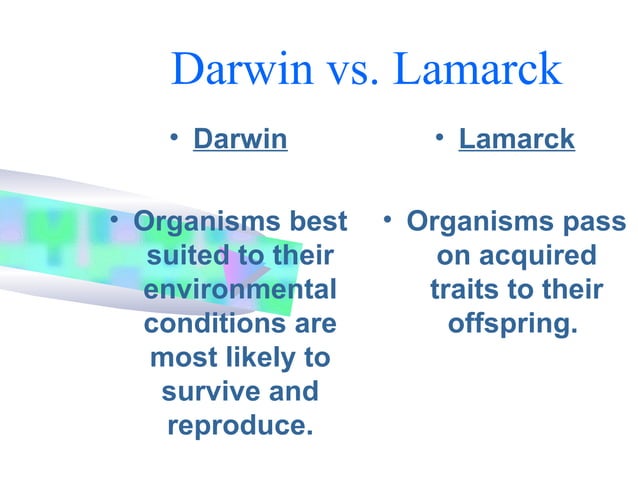 Principles of evolution | PPT