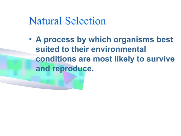 Principles of evolution | PPT