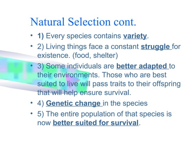 Principles of evolution | PPT