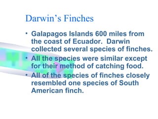 Principles of evolution | PPT