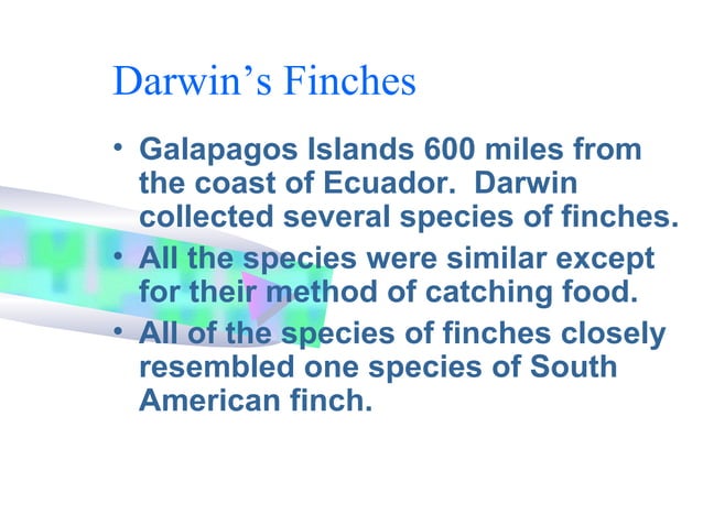 Principles of evolution | PPT