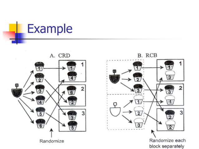 Principles of experimental design | PPT