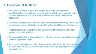 Principles of fertilizer application by vijay ambast | PPTX