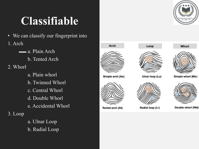 Principles of fingerprints | PPTX