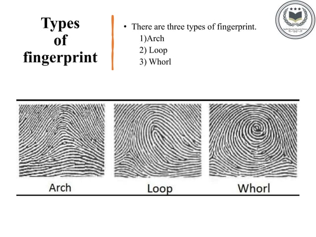 Principles of fingerprints | PPTX