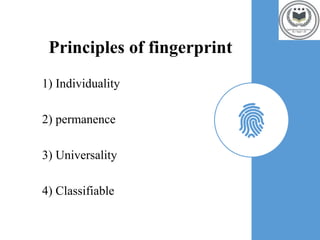 Principles of fingerprints | PPTX