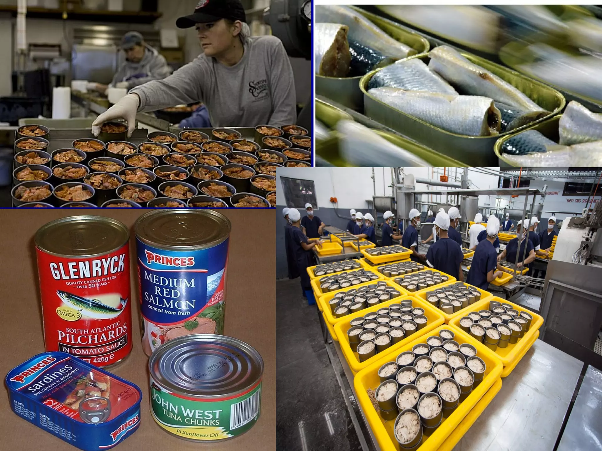 Principles of fish preservation and processing | PPT