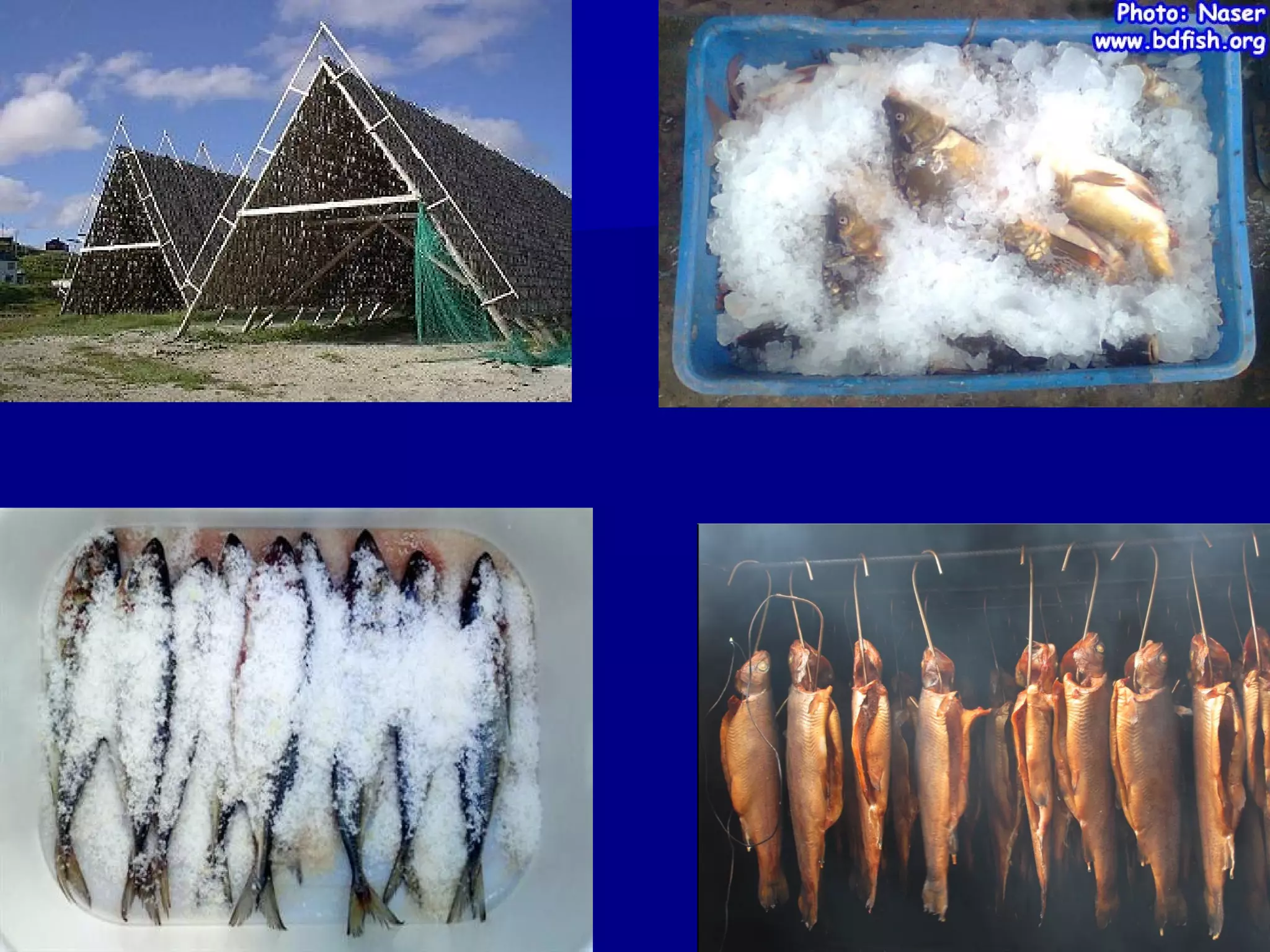 Principles of fish preservation and processing | PPT