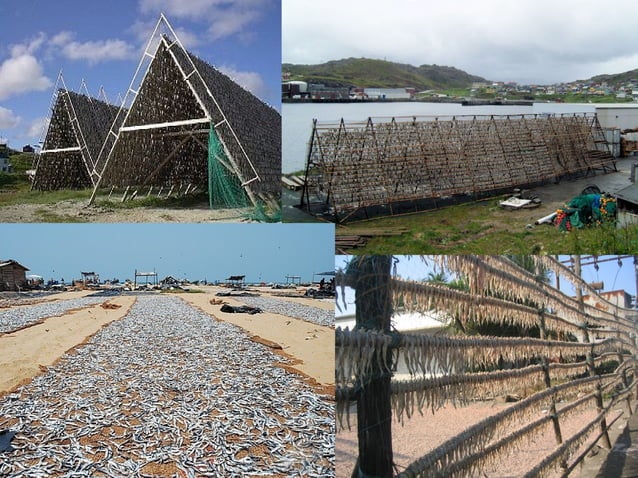 Principles of fish preservation and processing | PPT