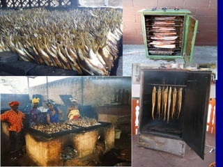 Principles of fish preservation and processing | PPT