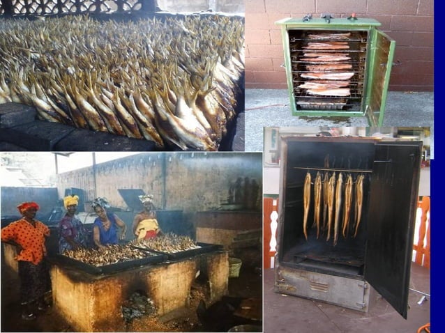 Principles of fish preservation and processing | PPT