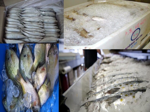 Principles of fish preservation and processing | PPT