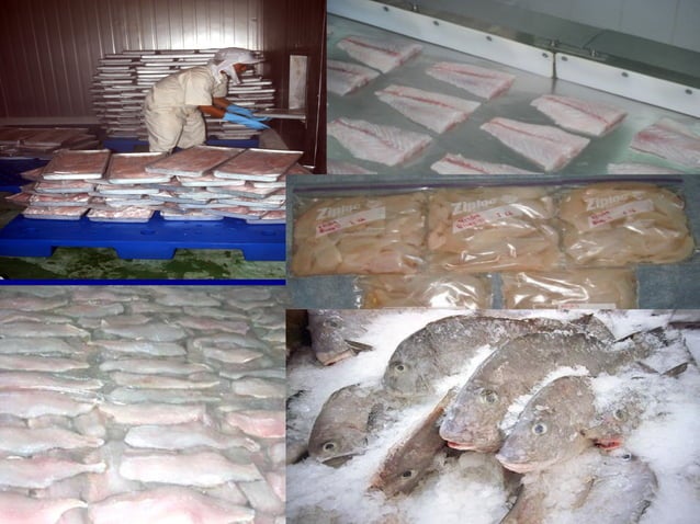 Principles of fish preservation and processing