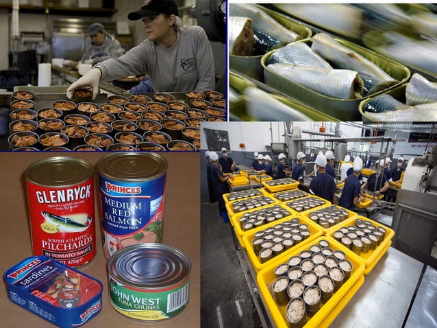 Principles of fish preservation and processing