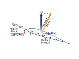 Principles of Flight_FINAL.pptx