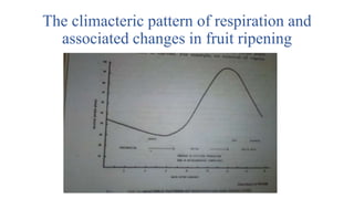 principles of fresh food storage.pptx