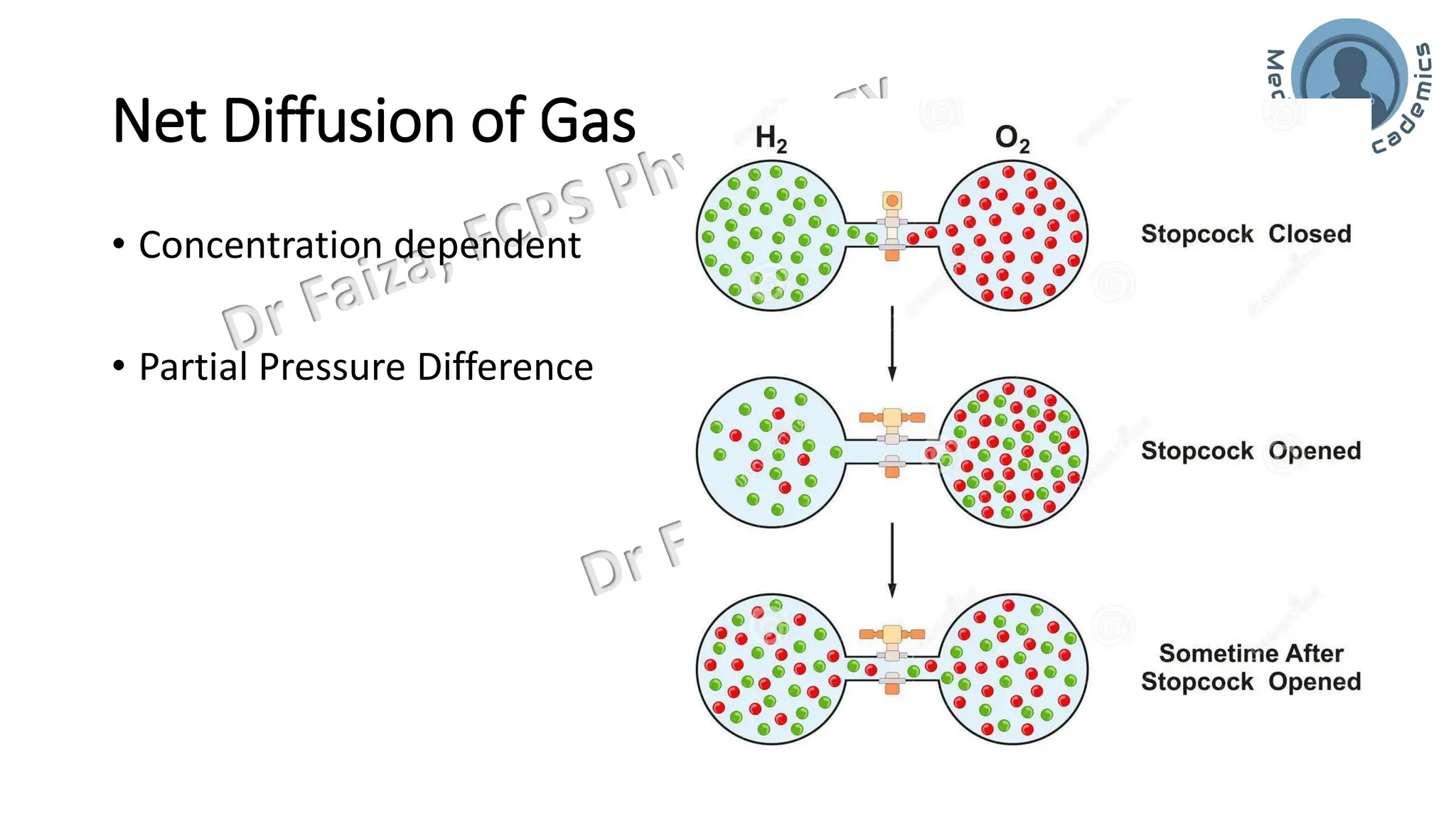 Principles of Gaseous Exchange across respiratory membrane | PDF