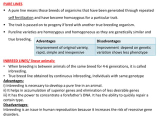 Principles of Genetics (AKNU University) | PDF