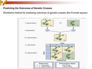 Principles of genetics for undergraduate students part 1.pdf