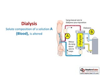Physiological Principles of Hemodialysis - Solve the Crosswords | PPT