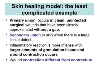 Principles of healing and repair of musculoskeletal tissues.ppt
