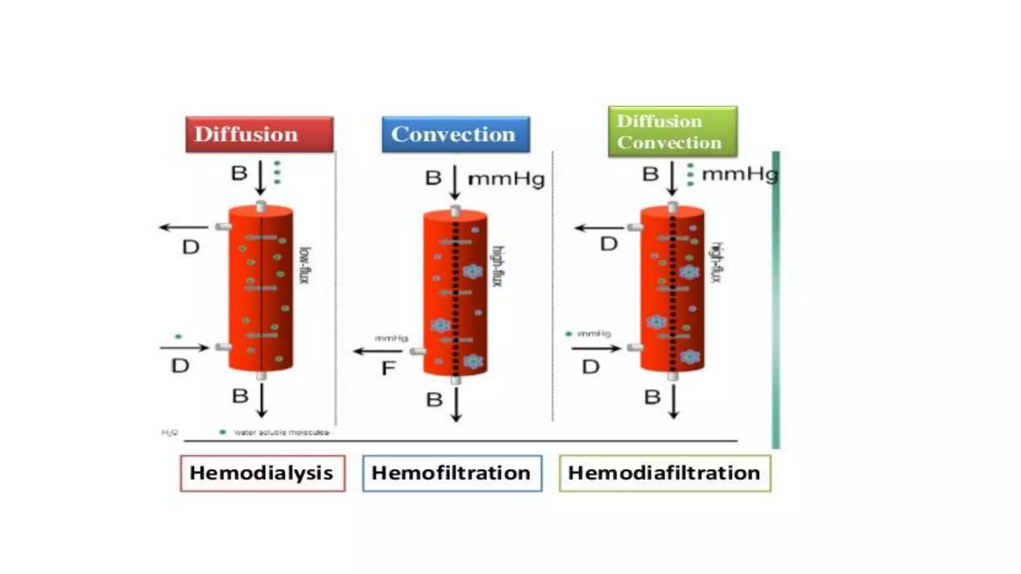 Principles of hemodialysis | PPTX