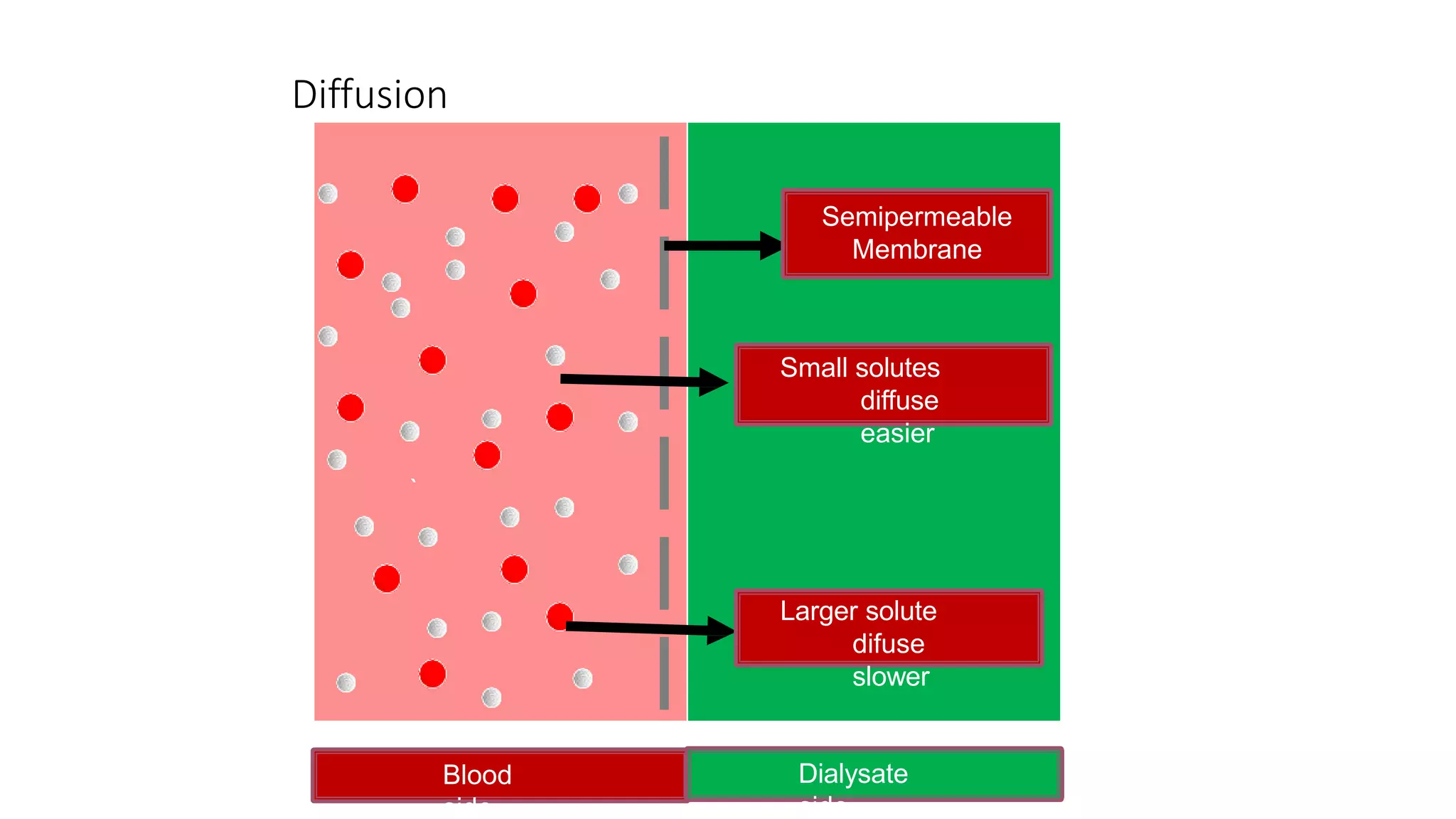 Principles of hemodialysis | PPTX