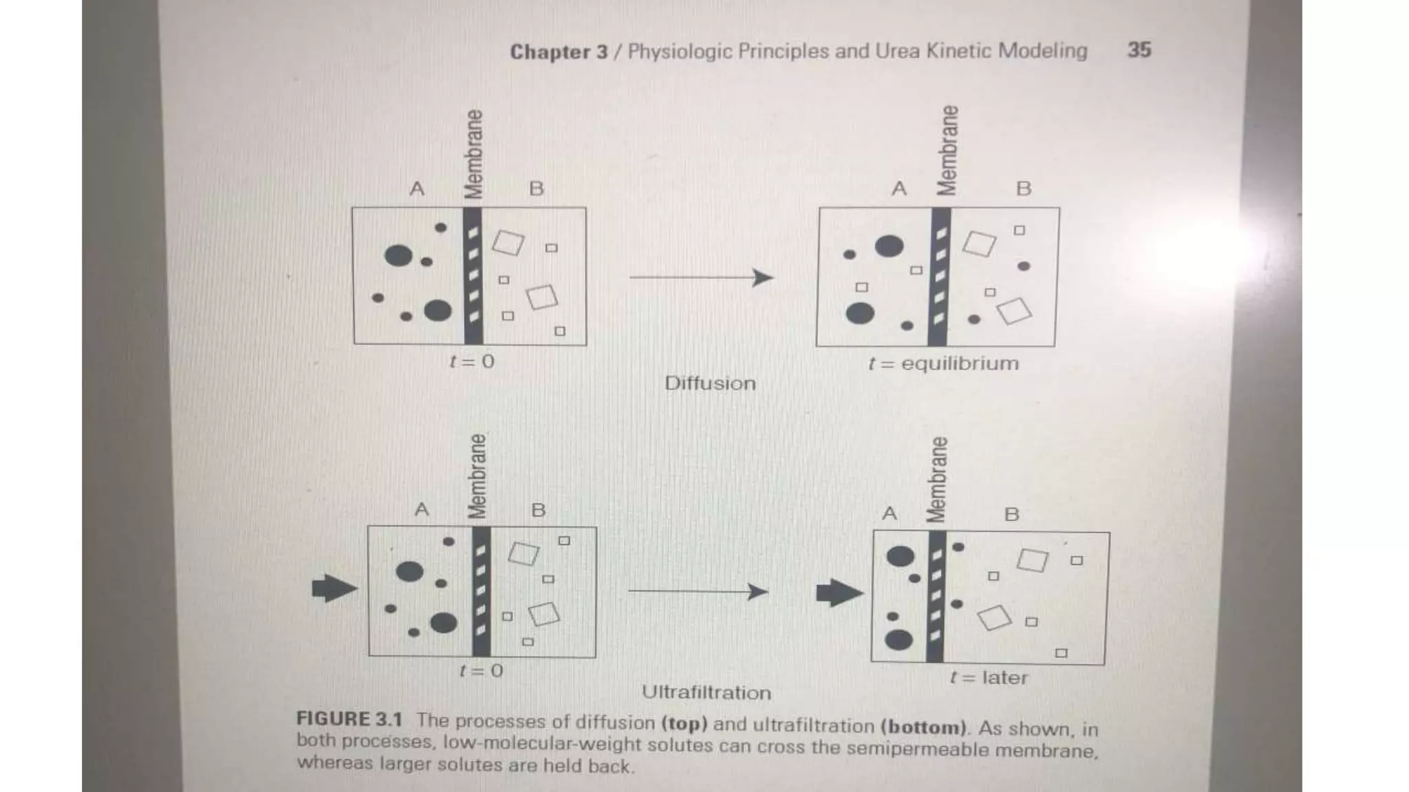 Principles of hemodialysis | PPTX