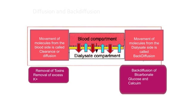 Principles of hemodialysis | PPTX