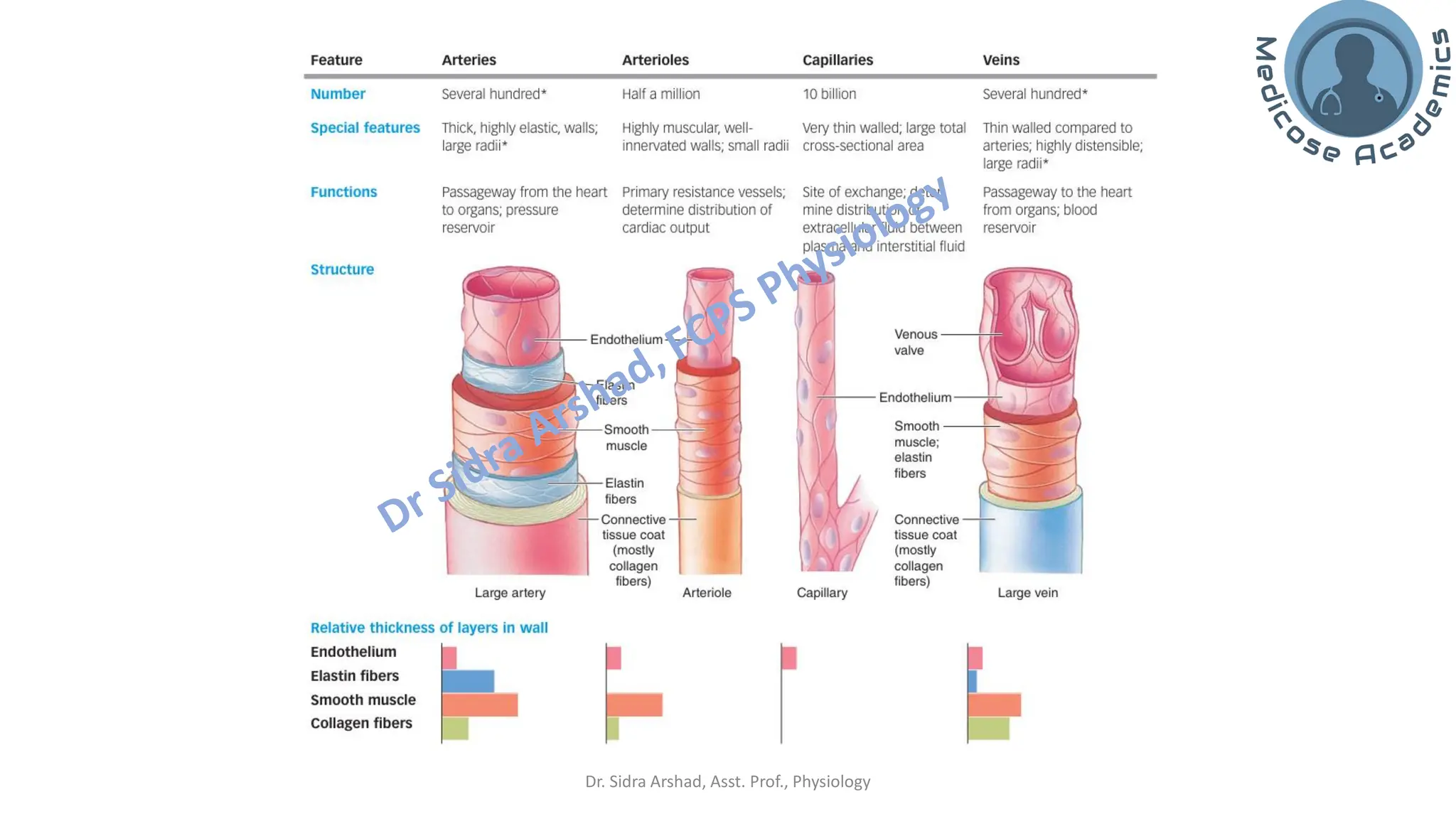 Cardiovascular Physiology - Principles of Hemodynamics | PDF